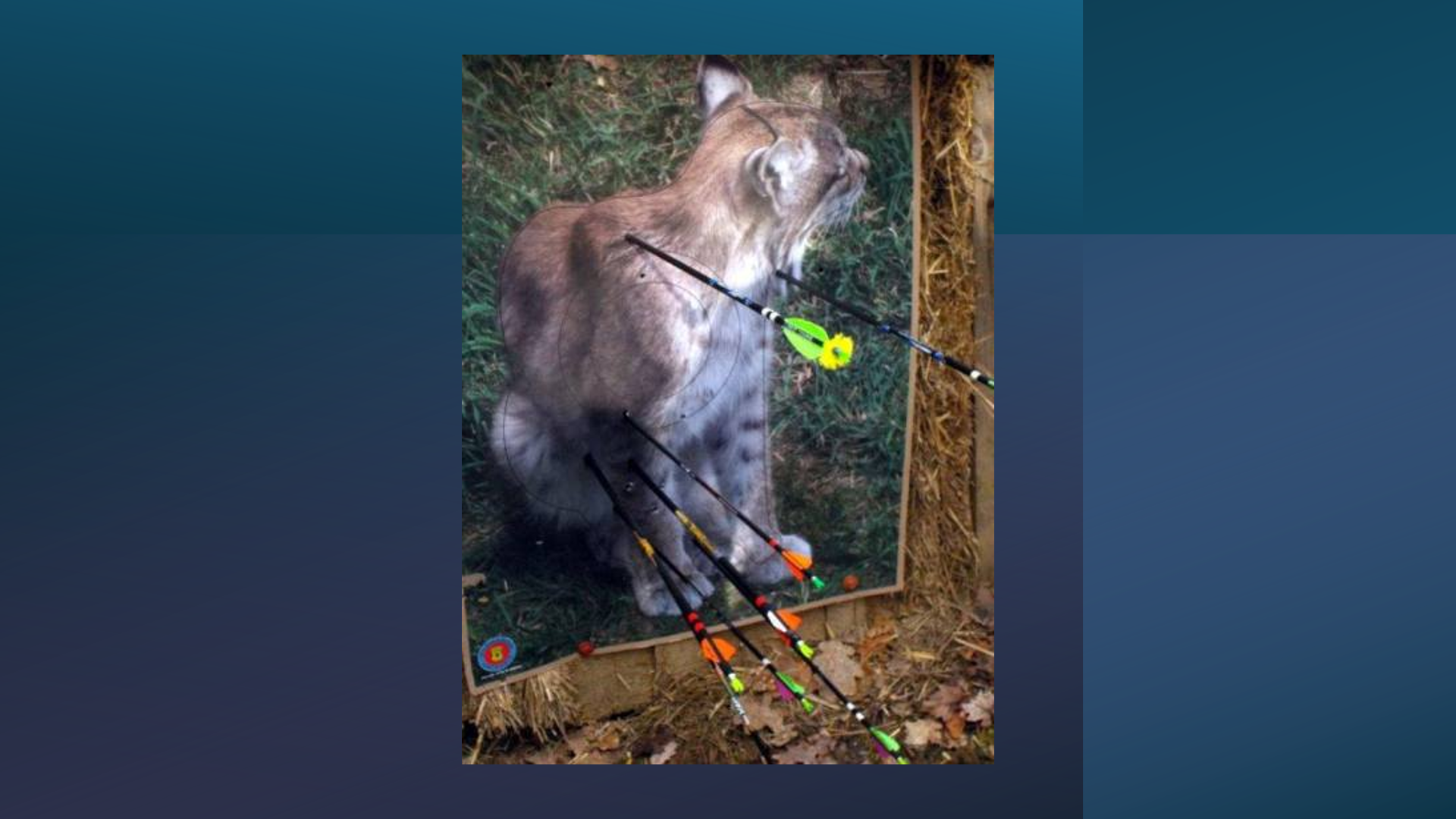 Tir Nature - Tir à l'arc de Versailles